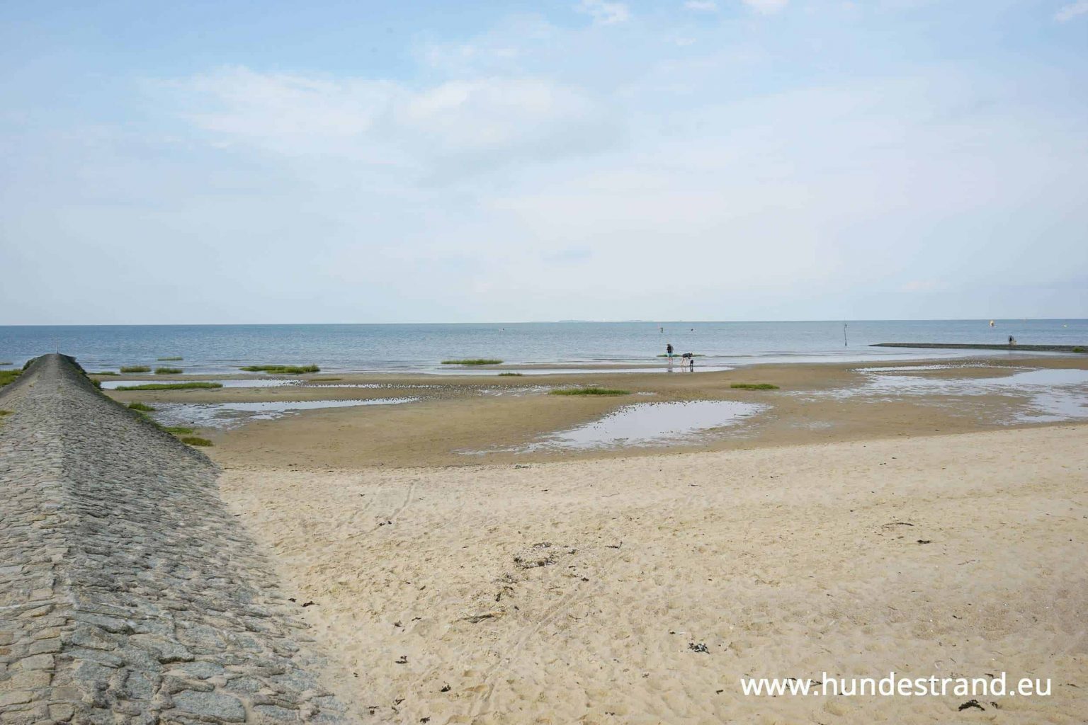 Hundestrand Schillig